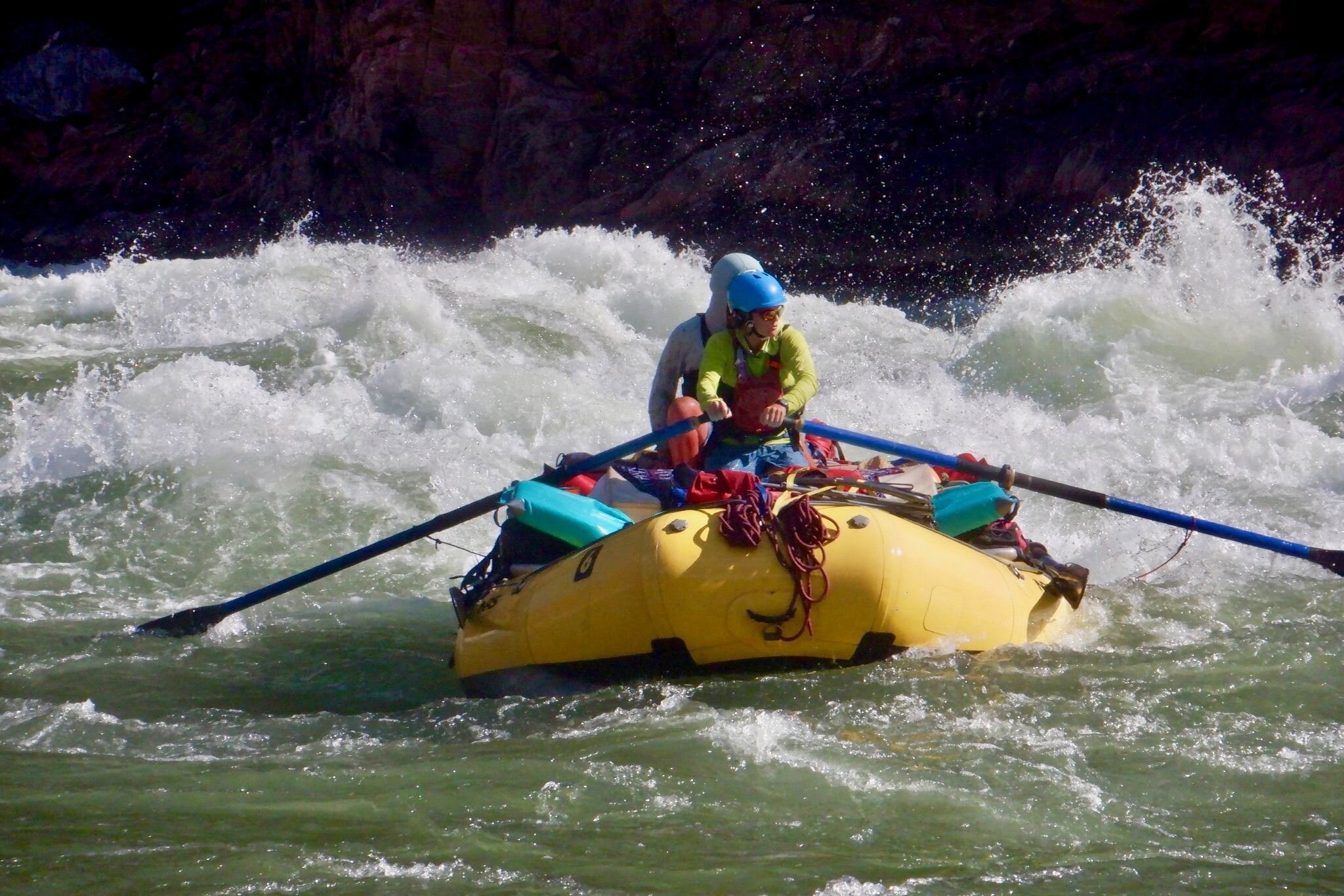 Wilderness Medicine Reference App