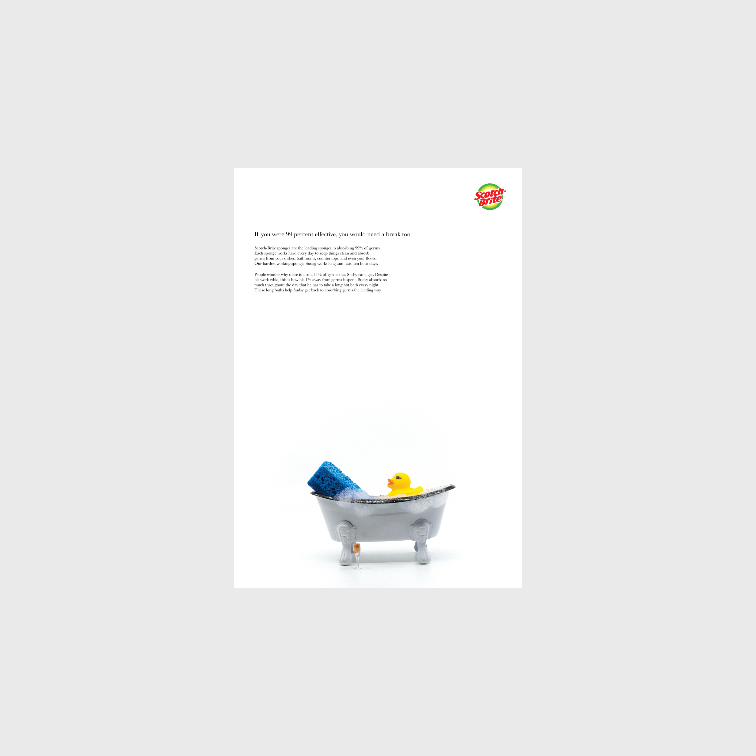 Scotch-Brite Ad Campaign — MG Designs