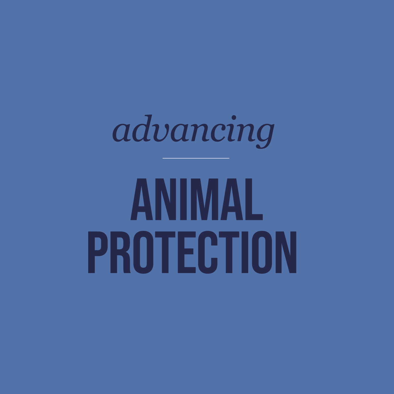 Wyoming Coalition for Animal Protection (WYCAP)