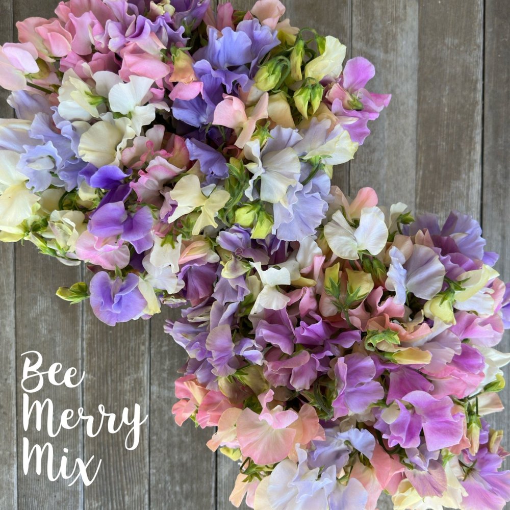 Shop — Bee Merry Farm