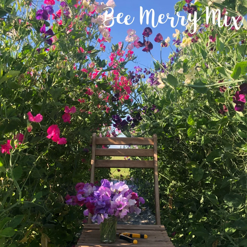 Shop — Bee Merry Farm