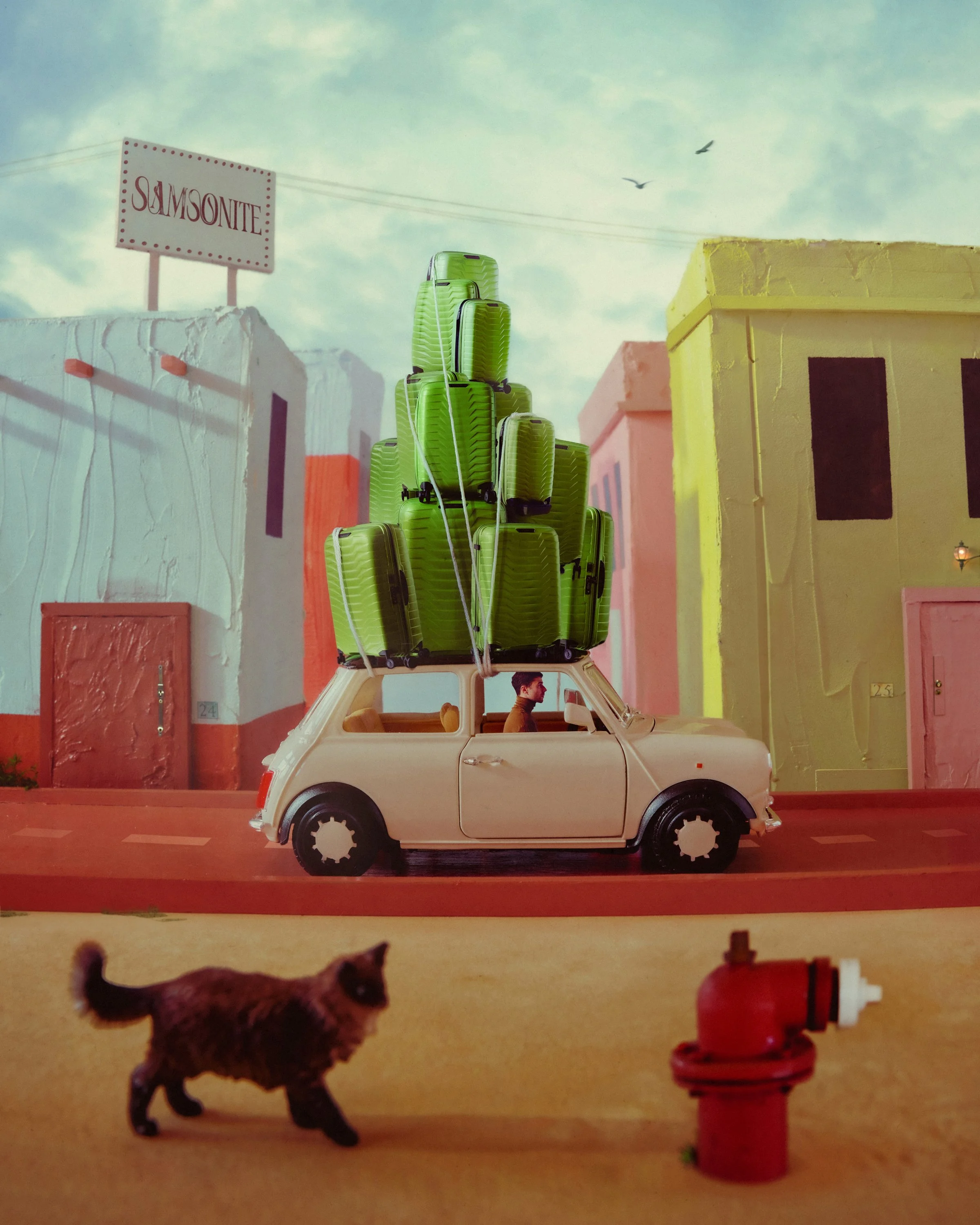 Samsonite — Nicholas Scarpinato