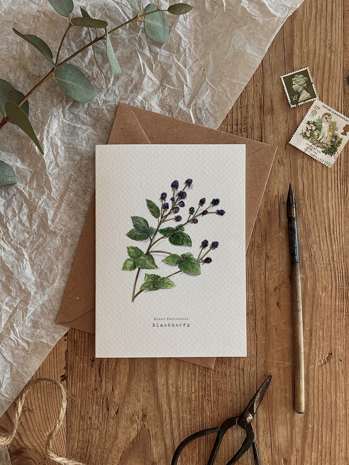 Orchard Card Offer — Brooke Marie