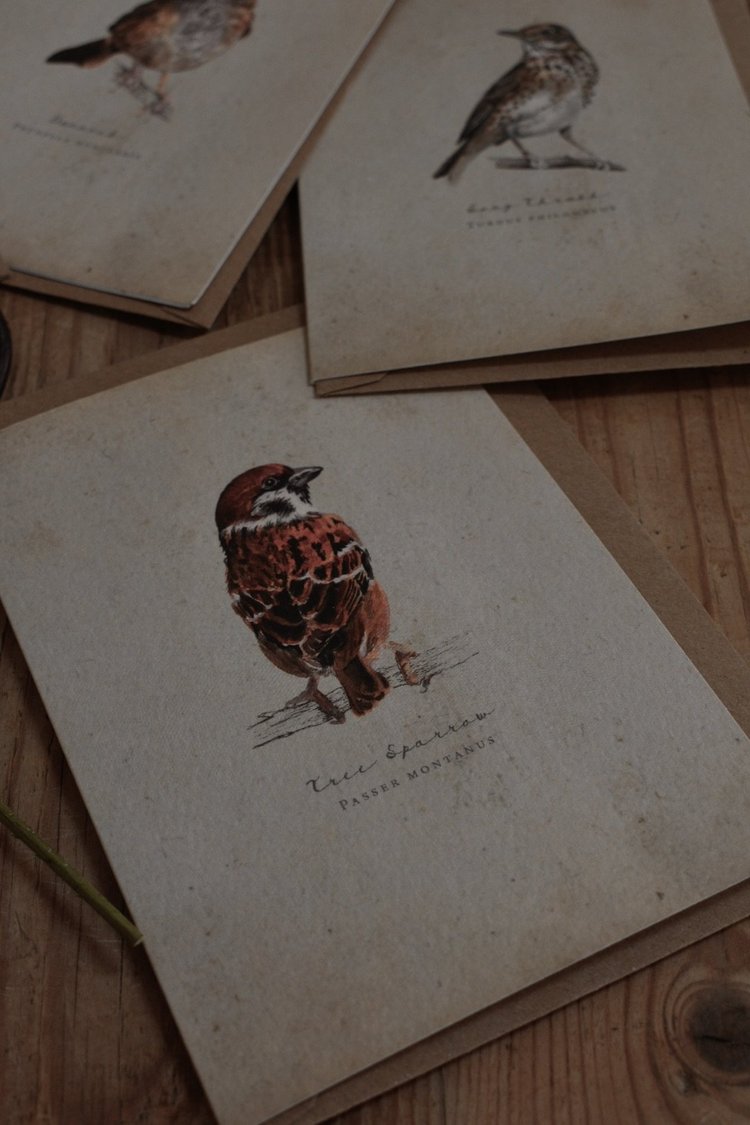 Orchard Card Offer — Brooke Marie