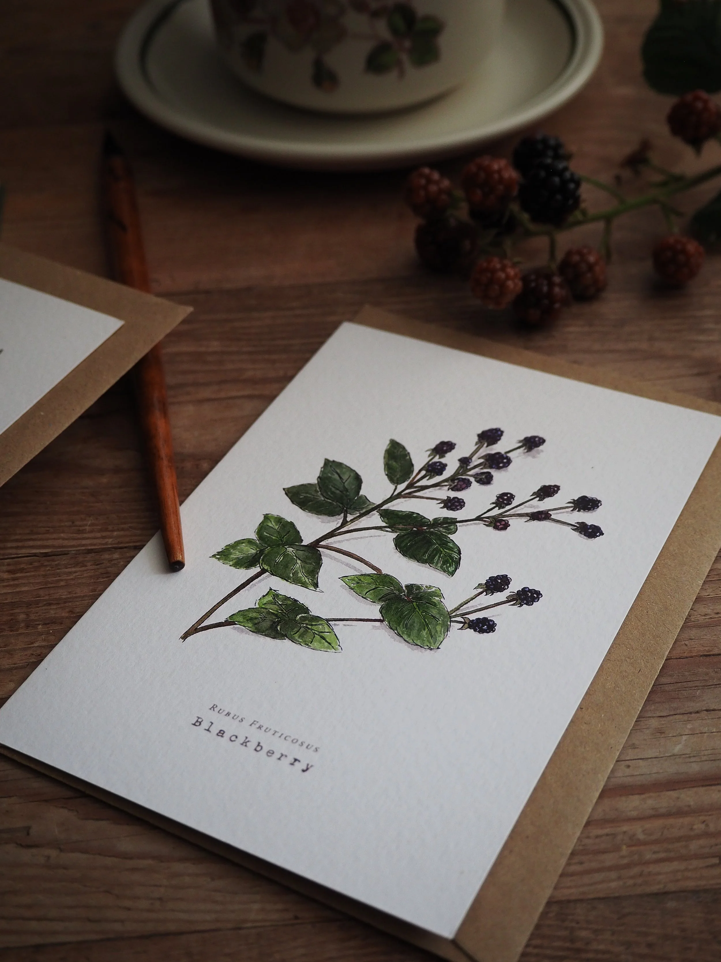 Orchard Card Offer — Brooke Marie