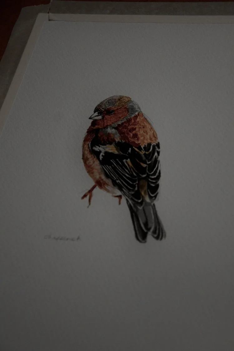 Painting The 2025 Bird Calendar — Brooke Marie