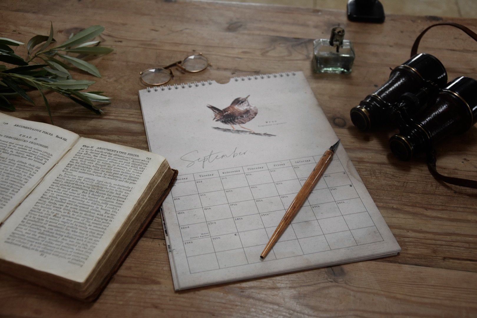 Painting The 2025 Bird Calendar — Brooke Marie