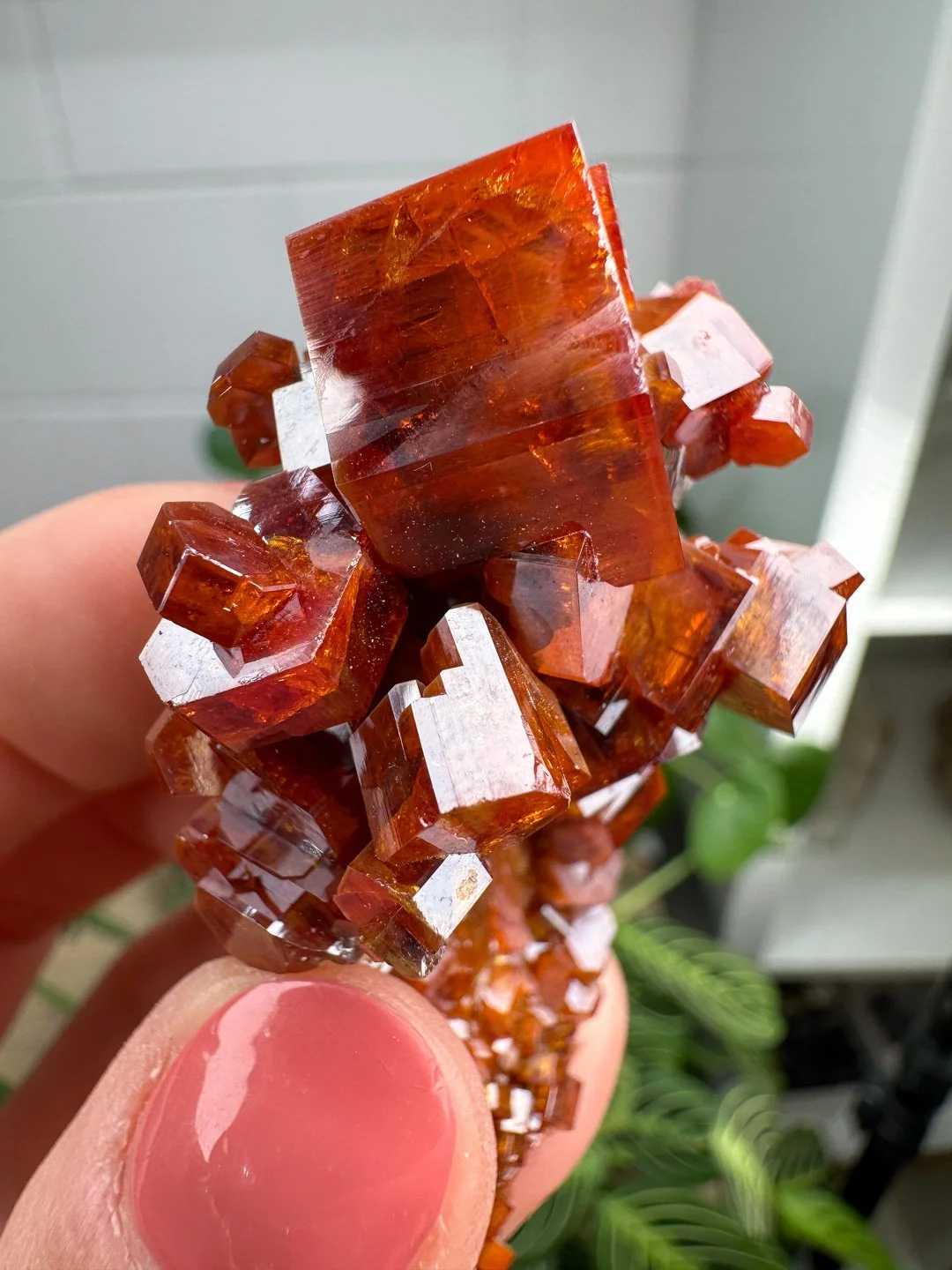 Earth Pixel Pyrite Cubes — Rocks for the Spirit