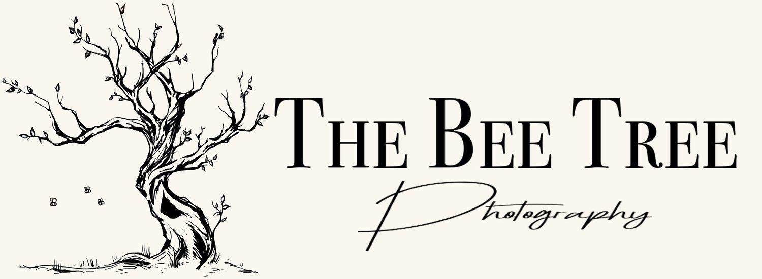 Mini Sessions — The Bee Tree Photography