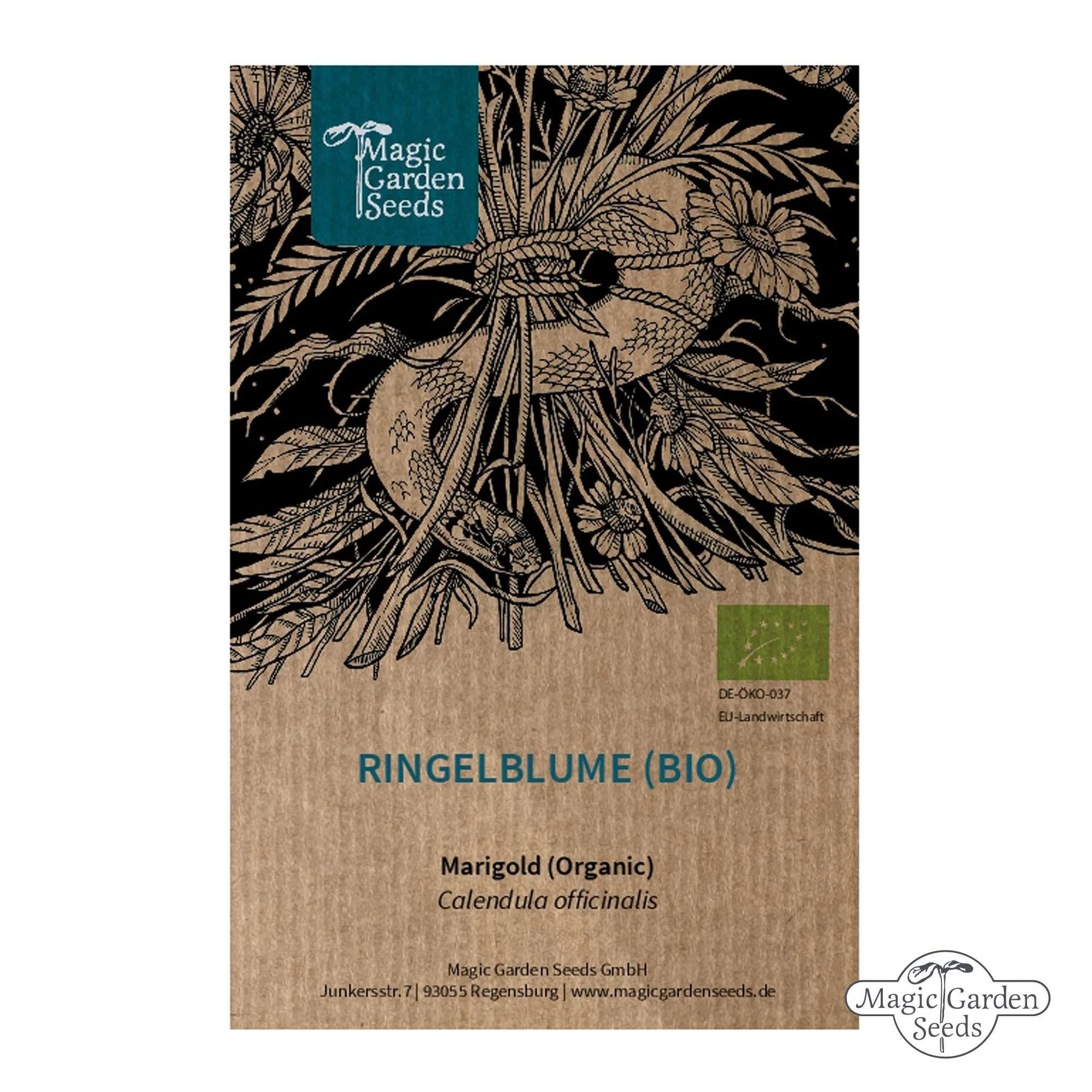 BIO Chrpa od Magic Garden Seeds | Přírodní zahrady