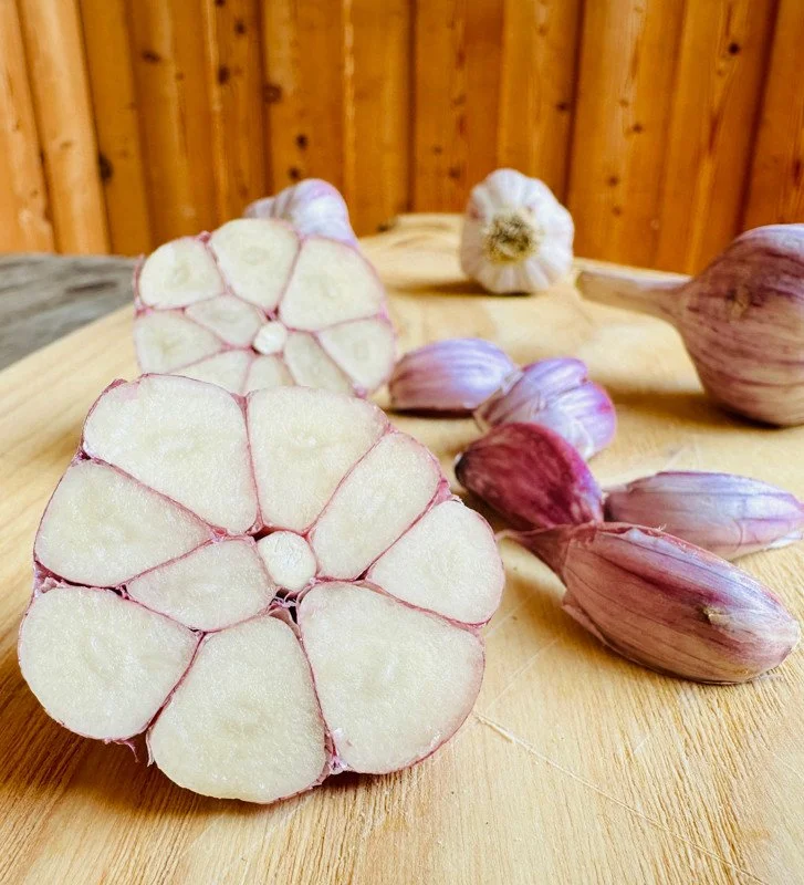 Sadbový česnek Havran od Kozákových | Přírodní zahrady