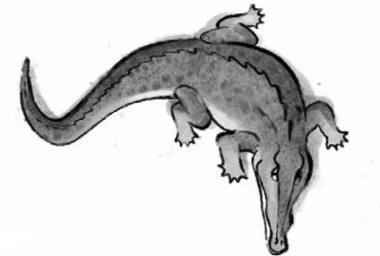 The Jackal's Graveyard — Saviour Pirotta