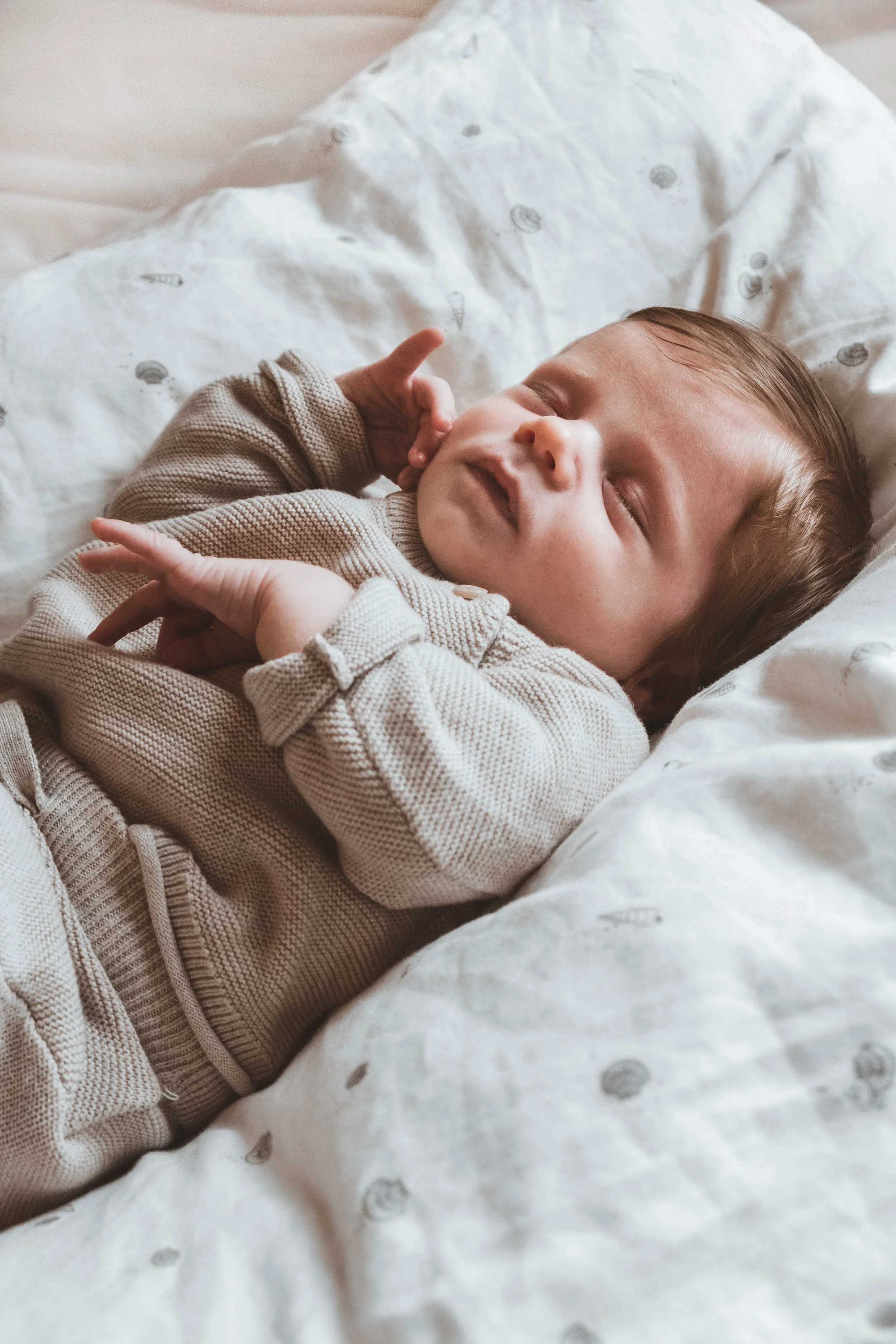 Cornelius Studio - Home