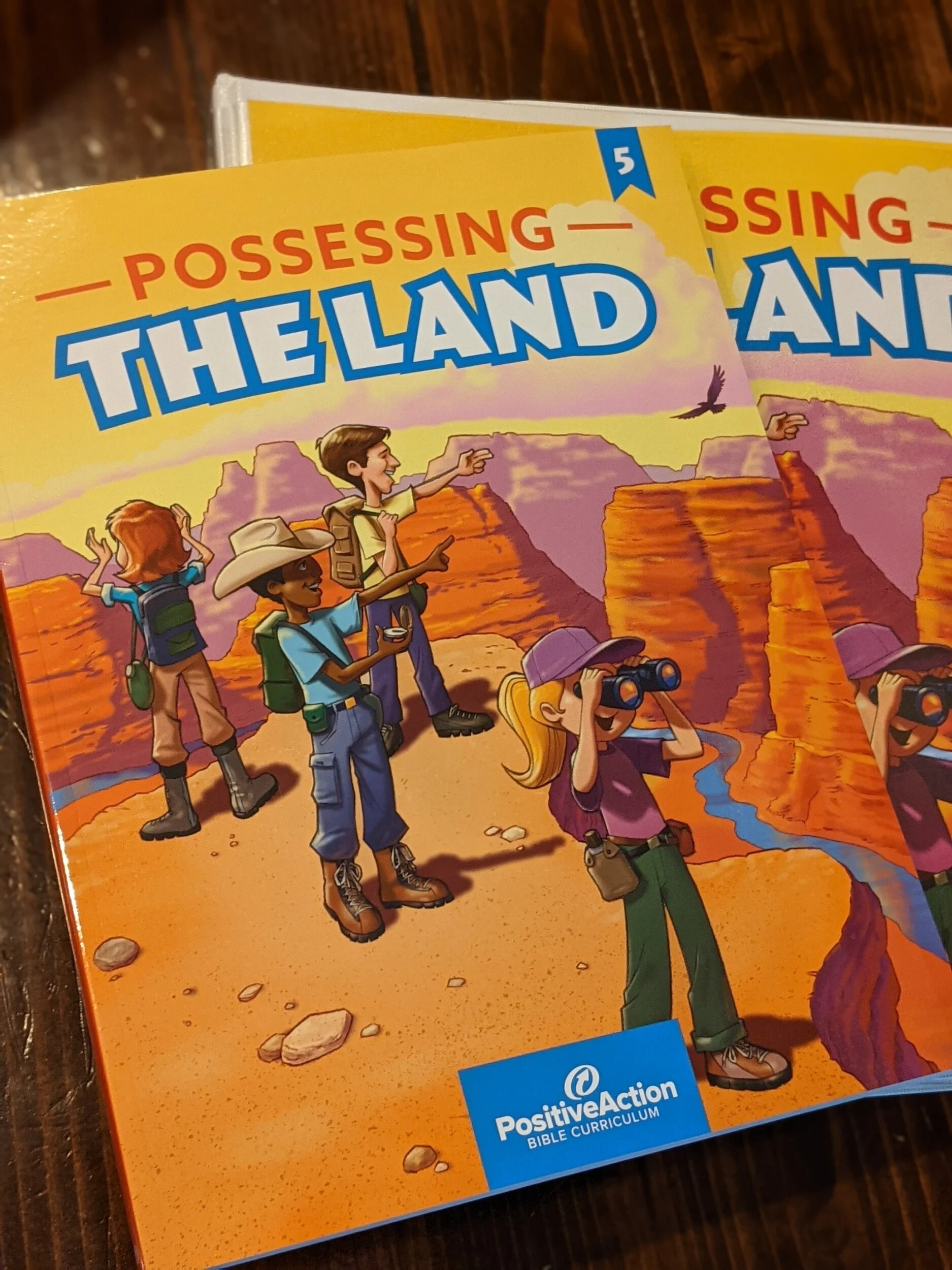 Possessing the Land: A Positive Action for Christ Curriculum Review ...