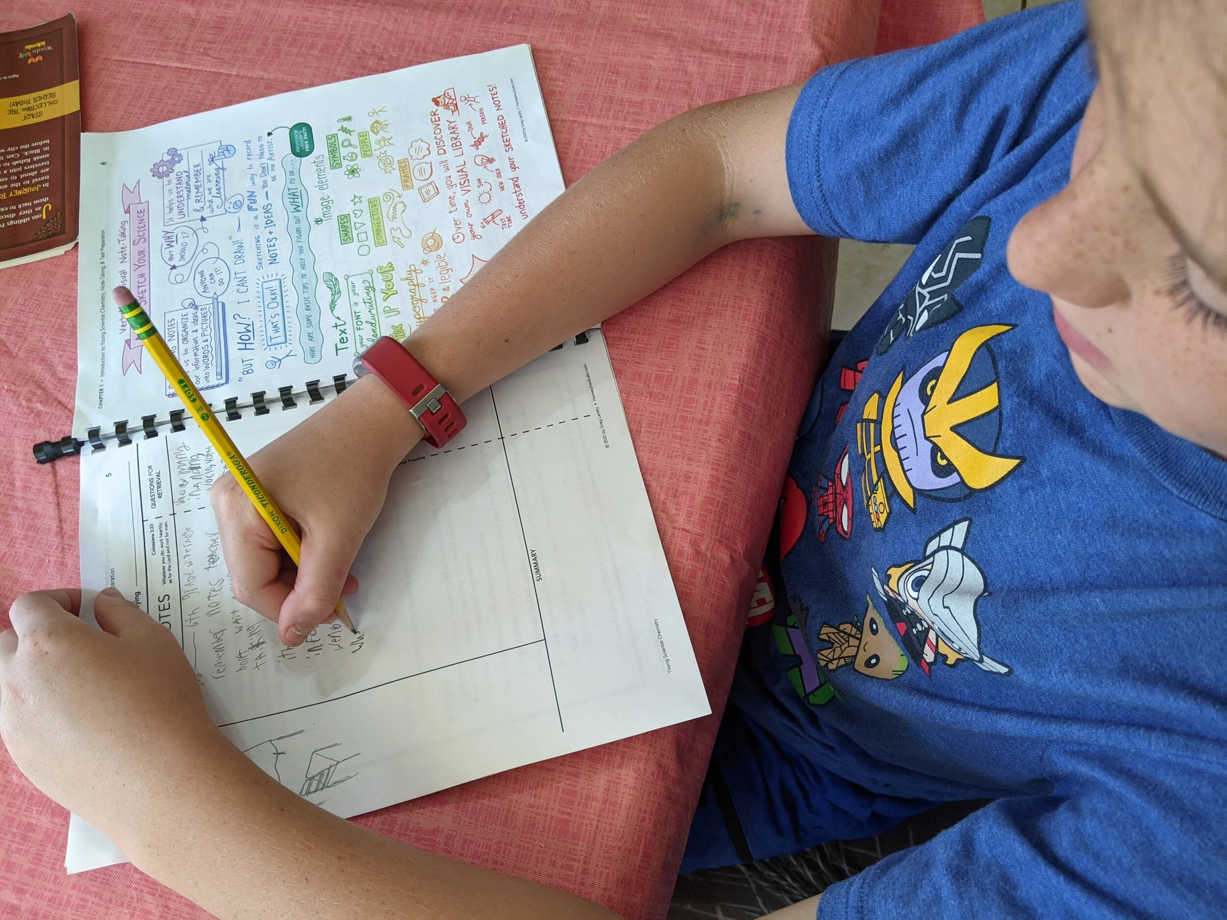 Young Scientist Chemistry: A Greg Landry's Homeschool Science Review ...