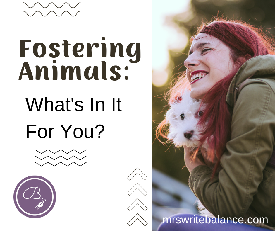 Fostering Animals: What's In It For You? — Mrs. WRITE Balance