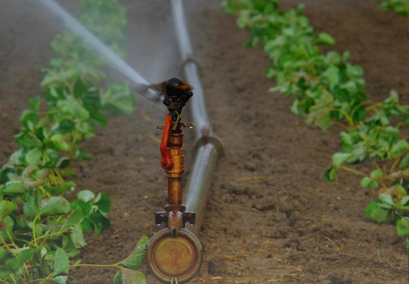 11 Tips for Choosing the Right Commercial Drip Irrigation System ...