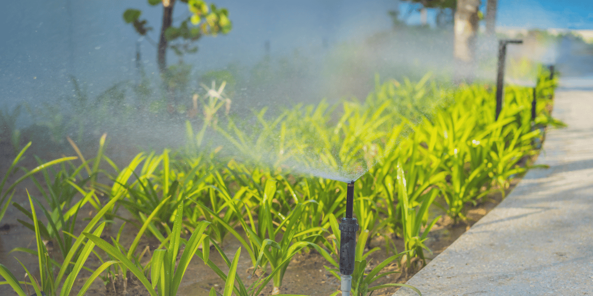 Intelligent Irrigation Solutions | Conserve Water and Reduce ...