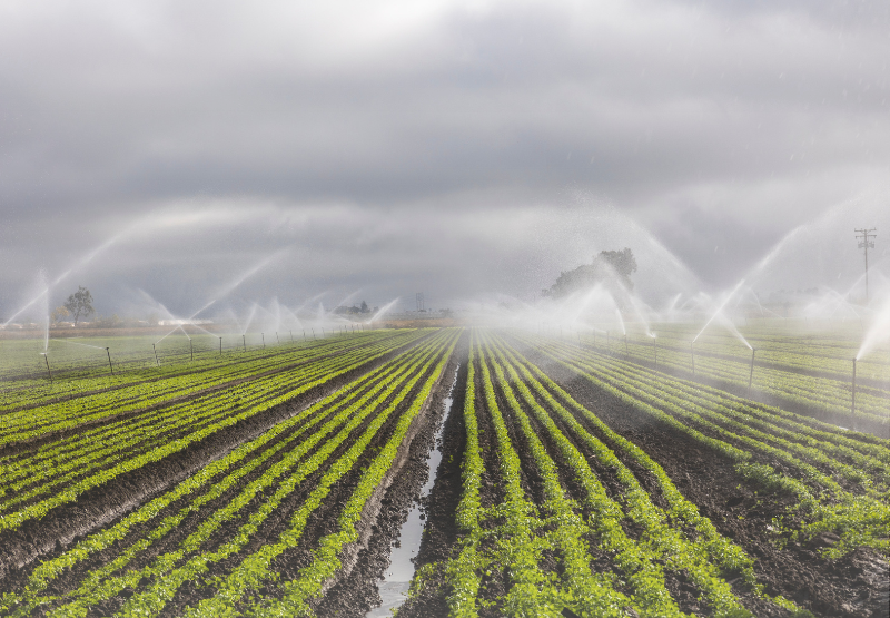 11 Tips for Choosing the Right Commercial Drip Irrigation System ...
