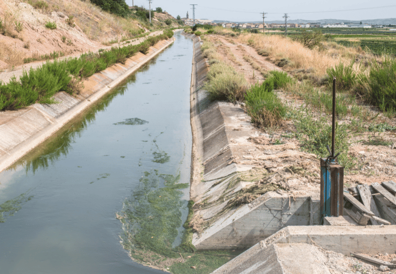 Municipal Irrigation Systems | Cut Water Waste Across Public Parks ...