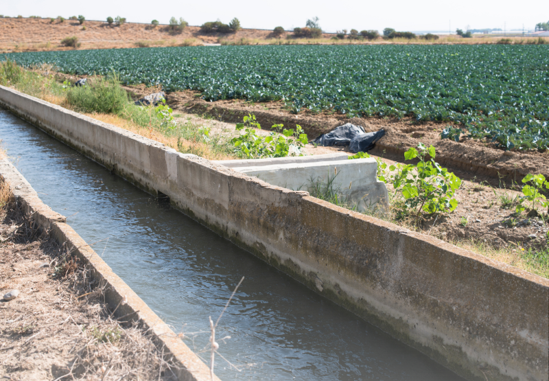 12 Advantages of Smart Irrigation Systems | Enhance Plant Health | Gain ...