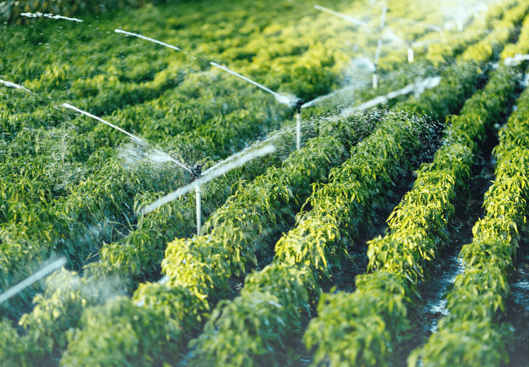 Smart Water Management System | Reduce Operational Costs with Precision ...