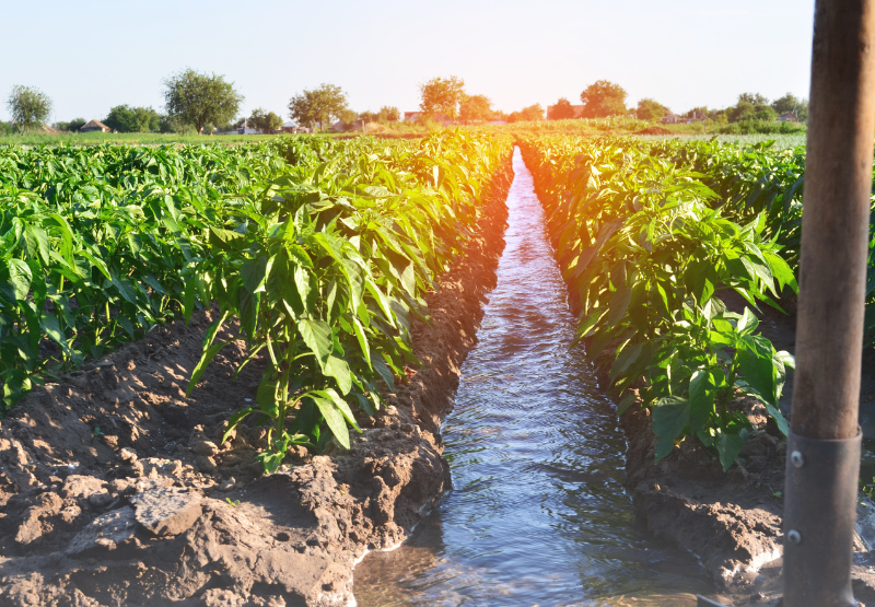 A Guide to Commercial Irrigation Systems in 2025 | Efficient Tips with ...