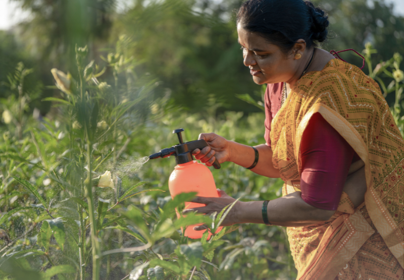 11 Tips for Choosing the Right Commercial Drip Irrigation System ...