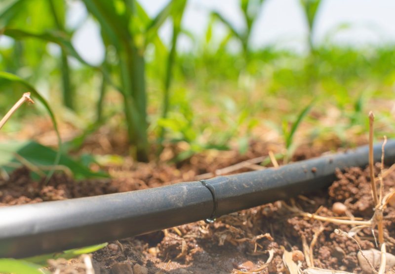 5 Types of Smart Irrigation Systems for Commercial Businesses | Boost ...