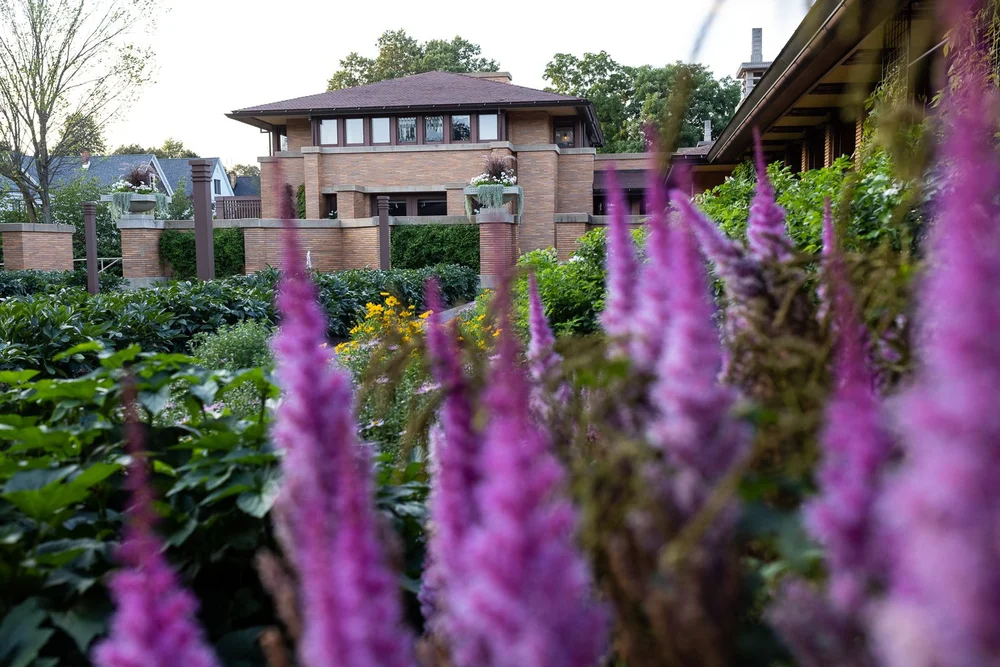 Landscape Rehabilitation at Frank Lloyd Wright's Martin House — Bayer ...