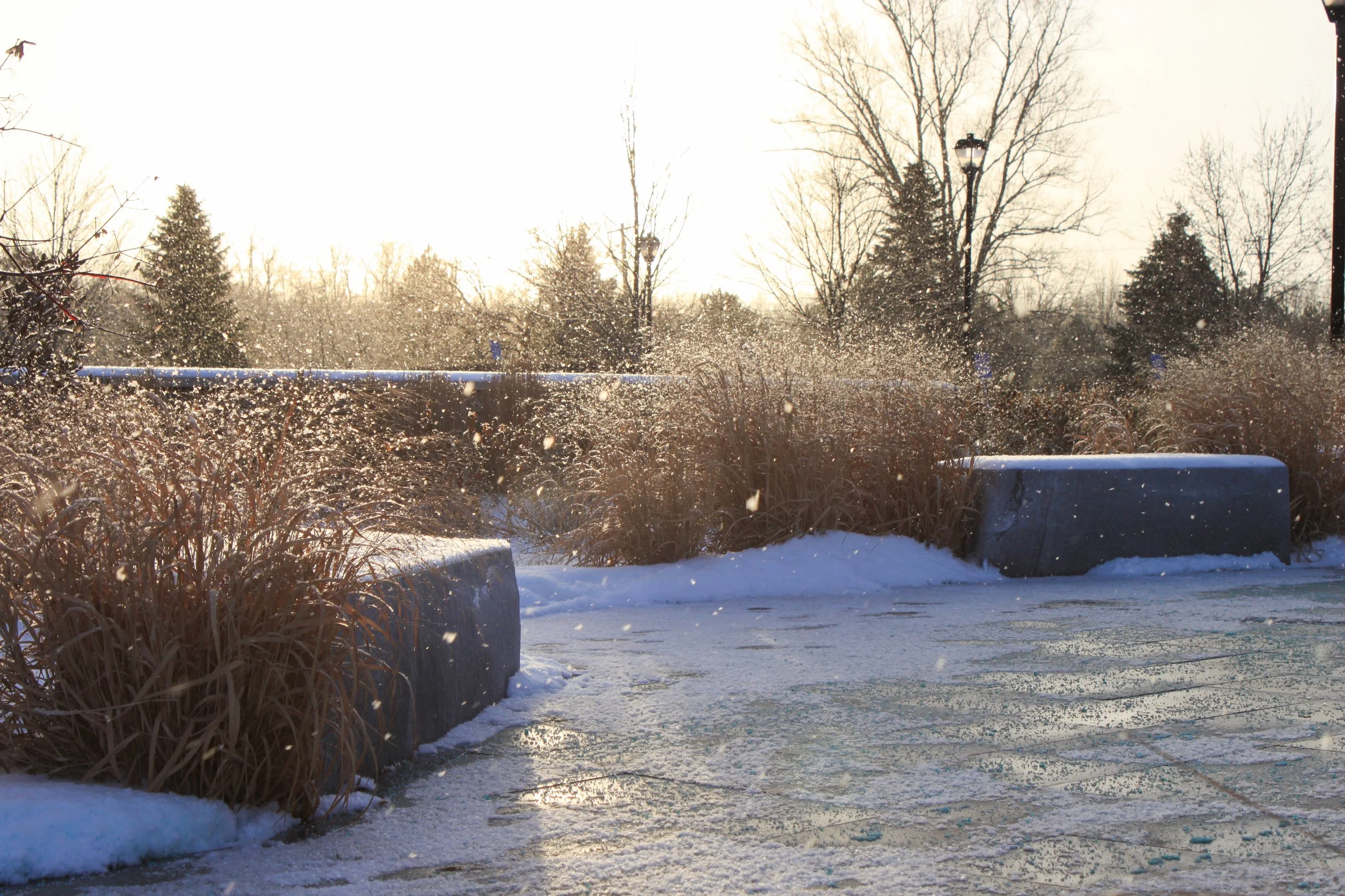 Ruby’s Welcome Garden at Lollypop Farm — Bayer Landscape Architecture, PLLC
