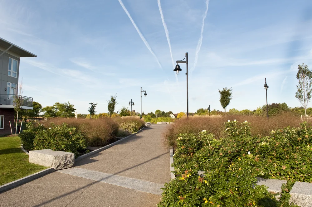 Erie Harbor Public Enhancements — Bayer Landscape Architecture, PLLC