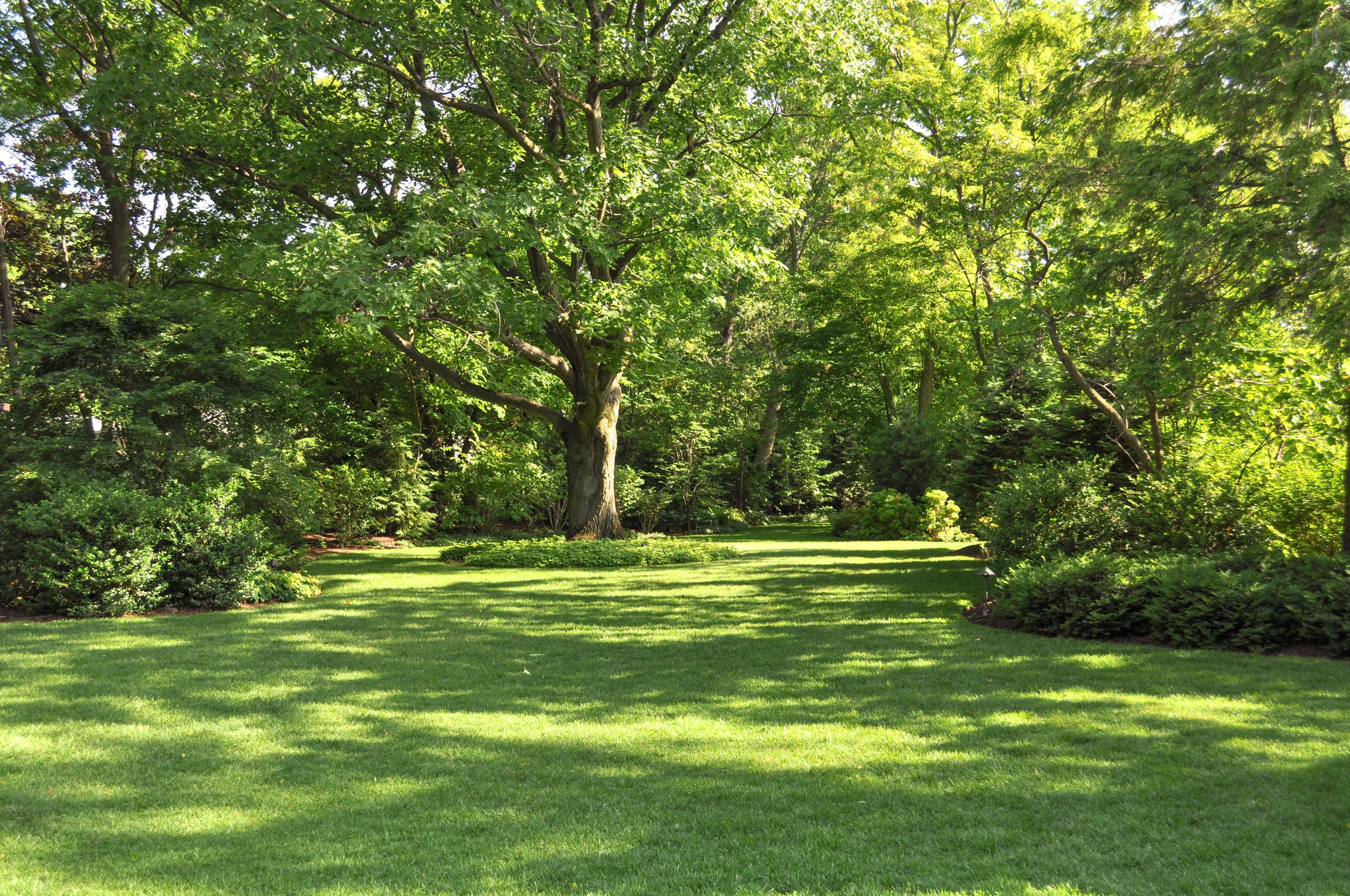 Drescher Estate — Bayer Landscape Architecture, PLLC
