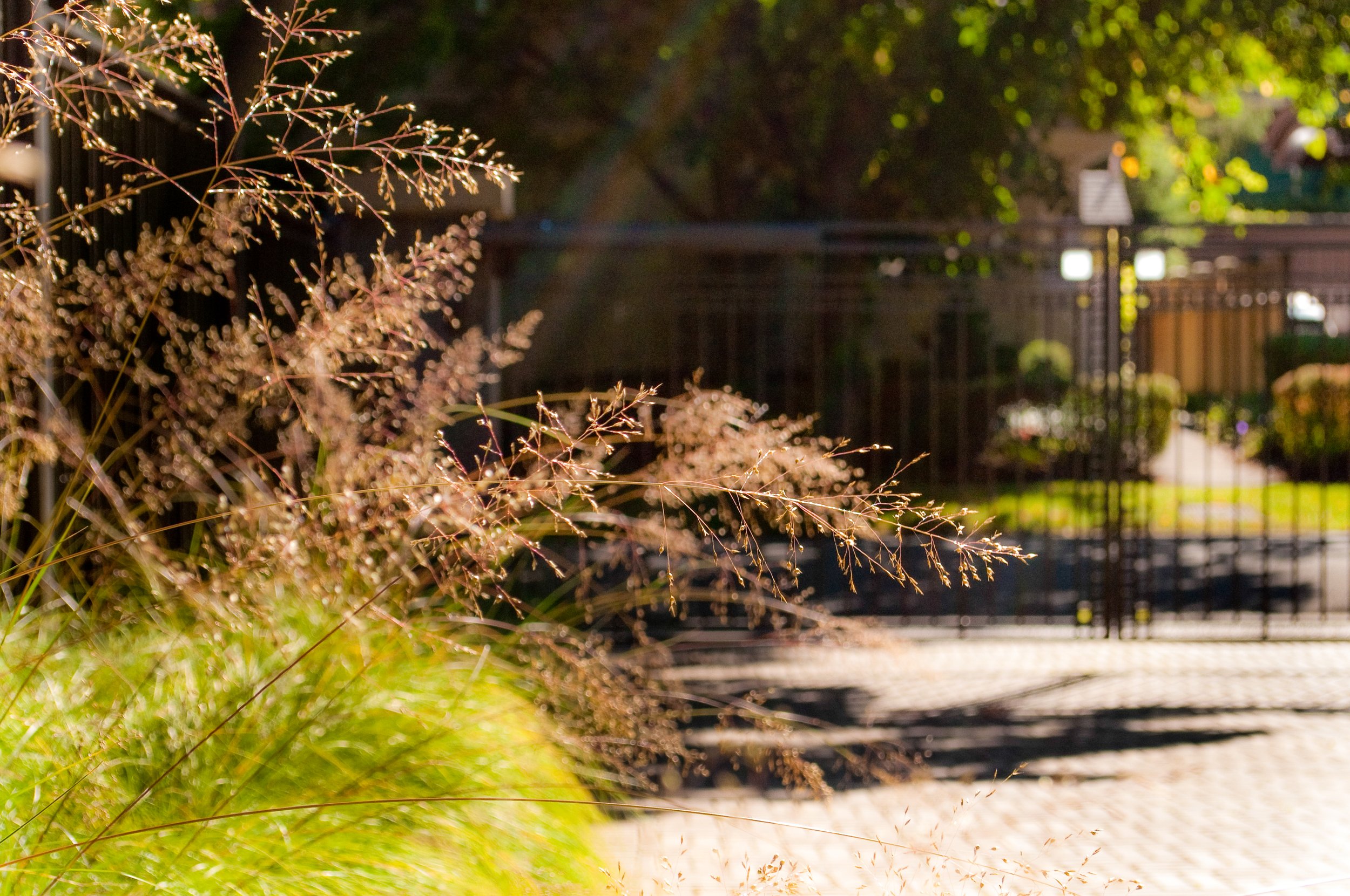 Frank Lloyd Wright’s E.E. Boynton House — Bayer Landscape Architecture ...