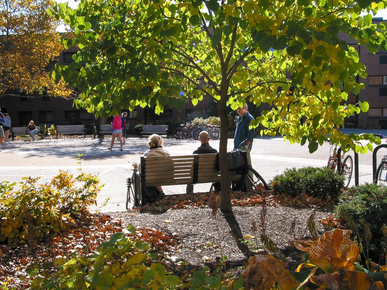 RIT Campus — Bayer Landscape Architecture, PLLC