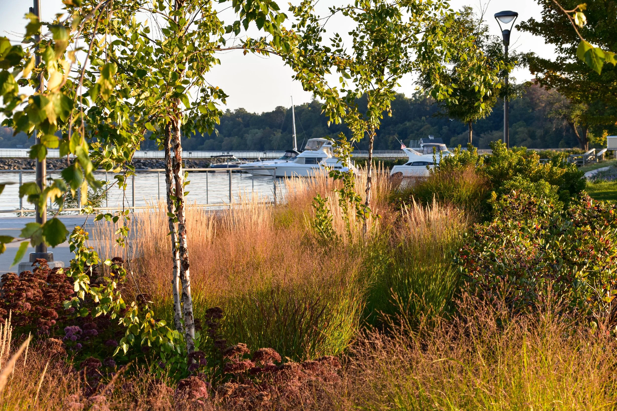 Geneva Waterfront — Bayer Landscape Architecture, PLLC