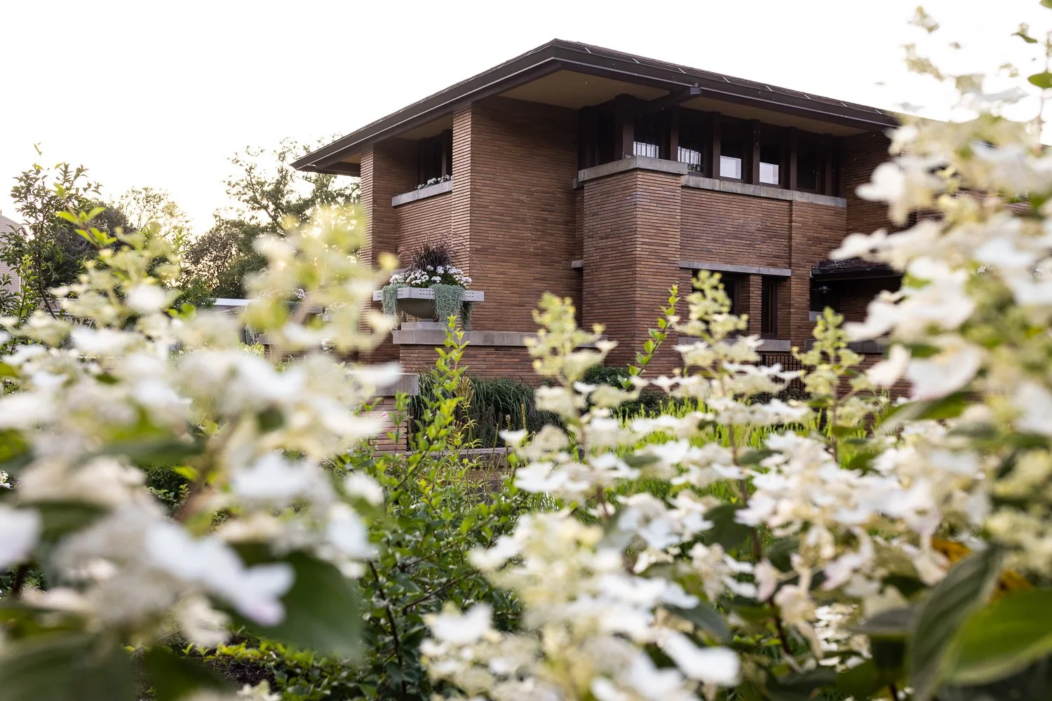 Landscape Rehabilitation at Frank Lloyd Wright's Martin House — Bayer ...