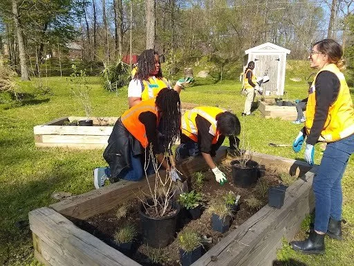 Picture Gallery | Discover & Engage Today — Friends of Oxon Run