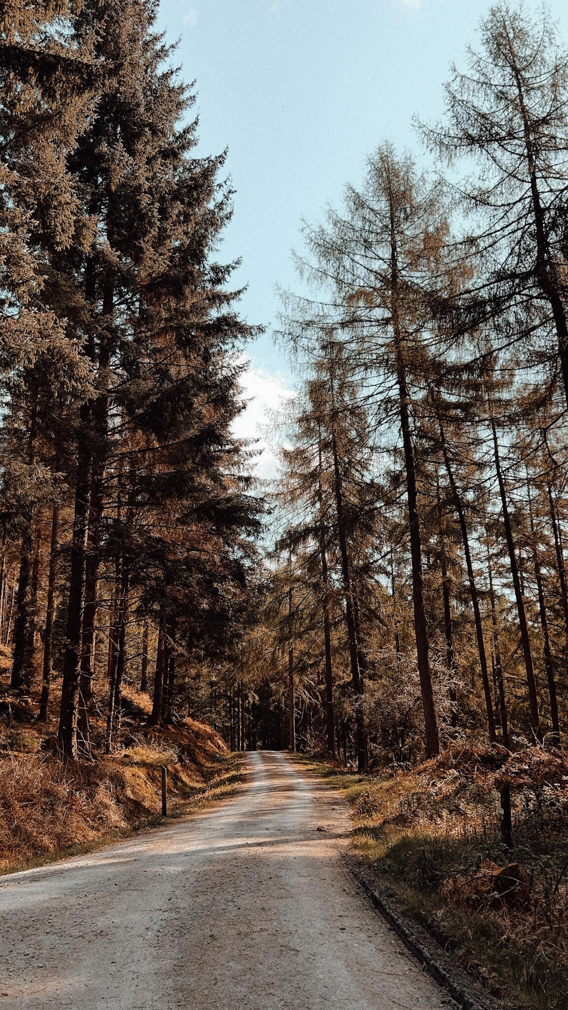 Scotland in Autumn: 10 Incredible Places To Visit | Wander Scotland