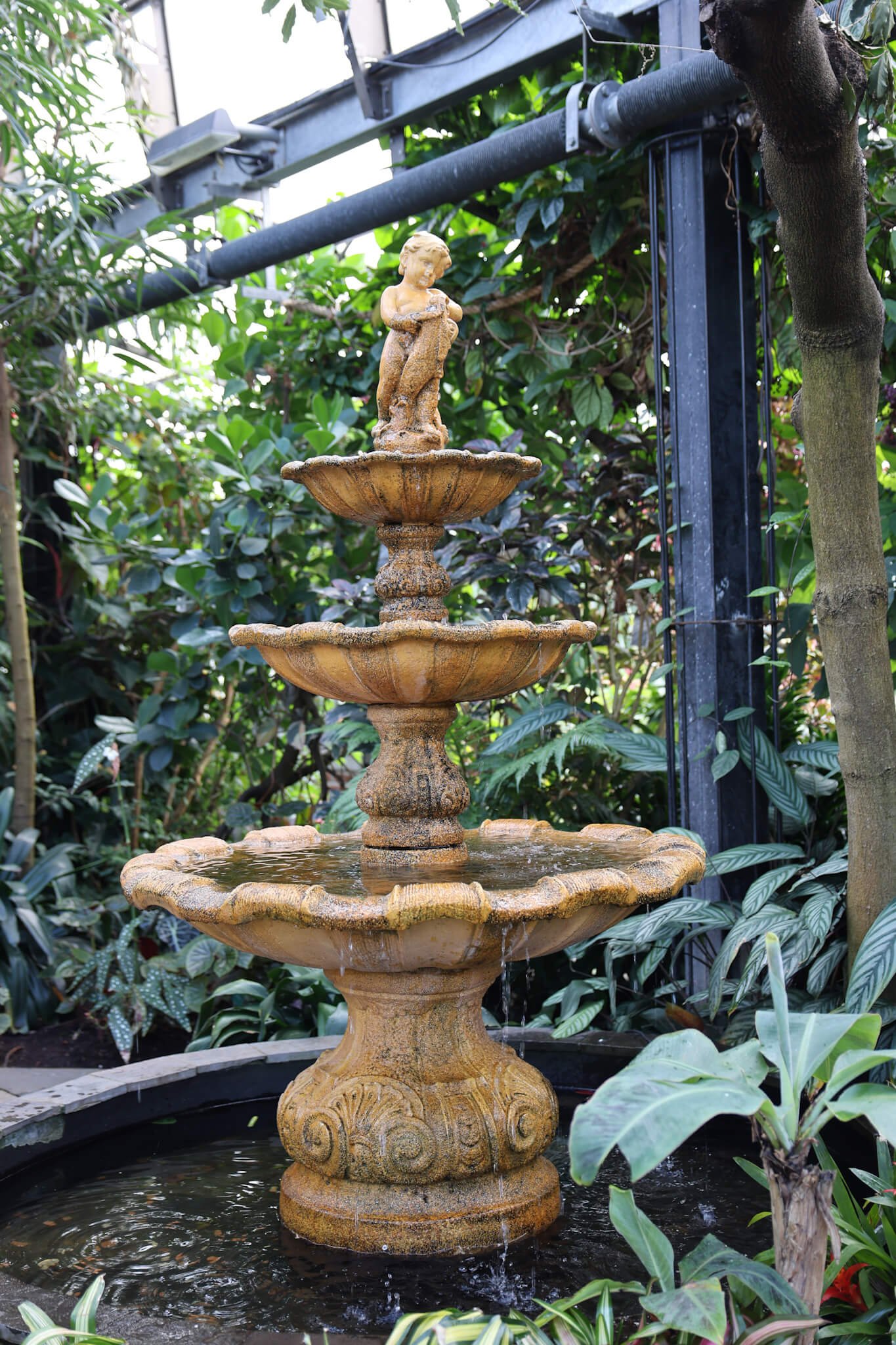 Inverness Botanic Gardens: A Tropical Escape in the city | Wander Scotland