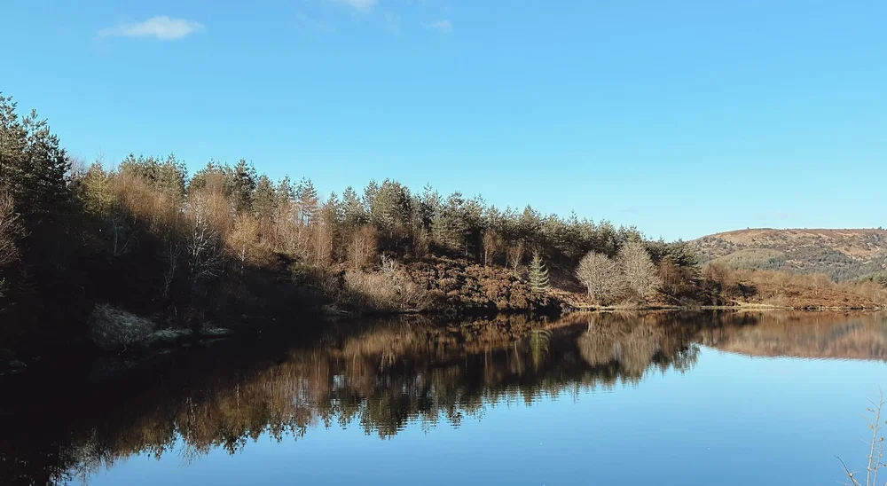 Three Lochs Forest Drive: How To Visit | Wander Scotland