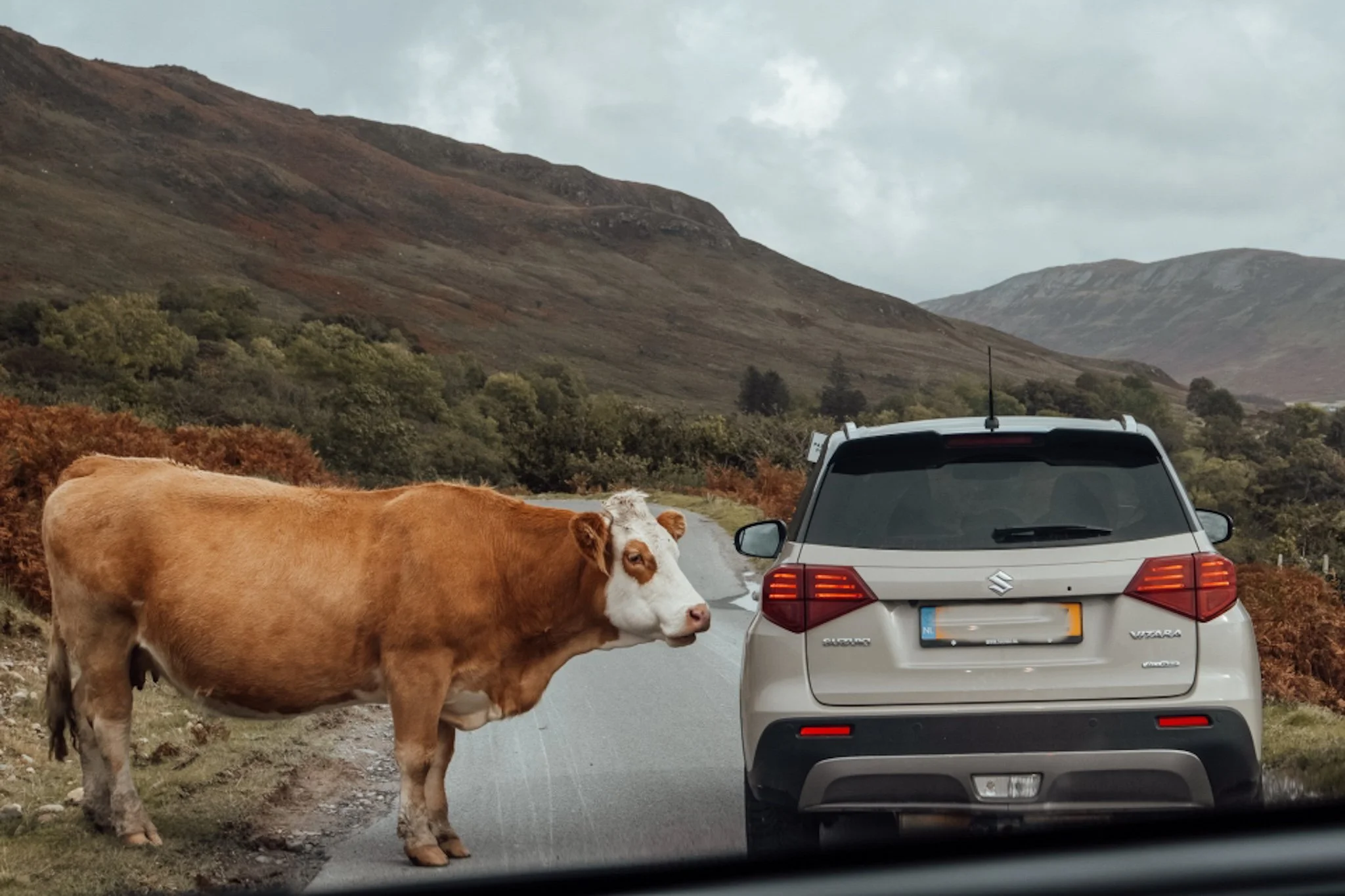 How To Drive In Scotland — Rural Roads, Single-Tracks & Passing Places ...