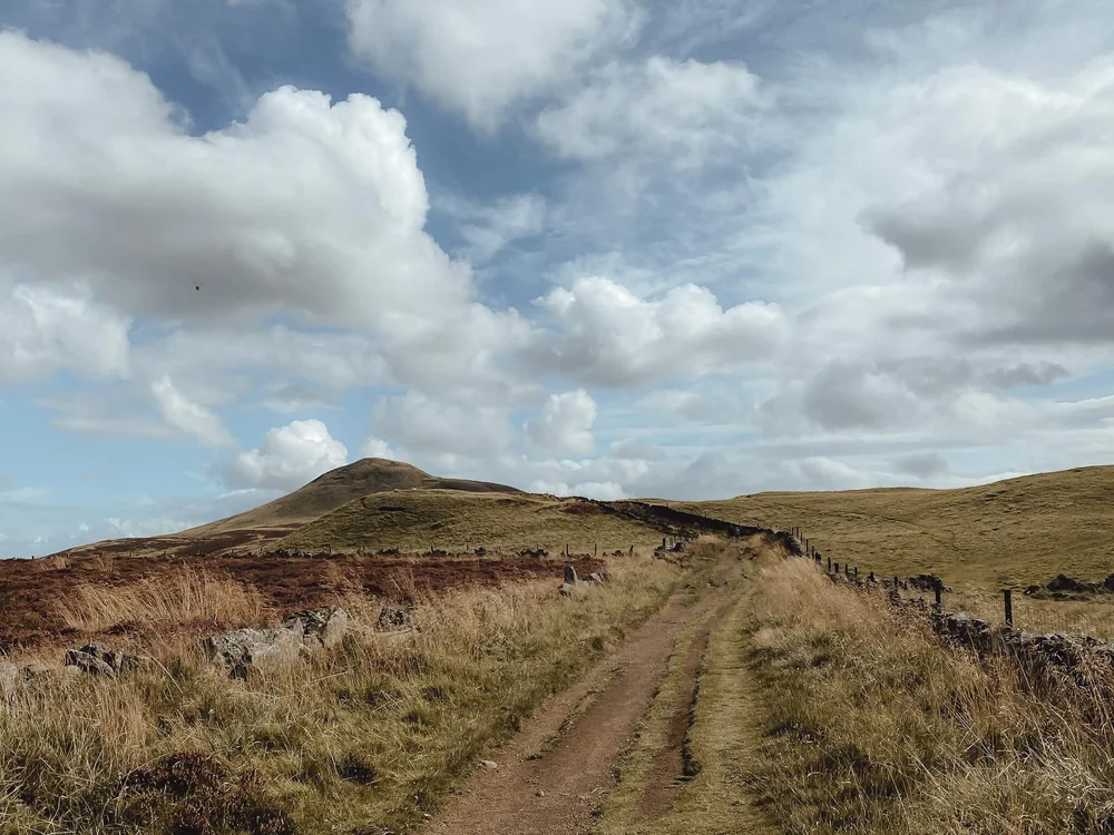 Fife Walks: The 7 Best Walks in Fife | Wander Scotland