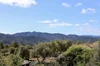 Montsant Travel Guide: Vino, Vineyards & Villages | Wander Scotland