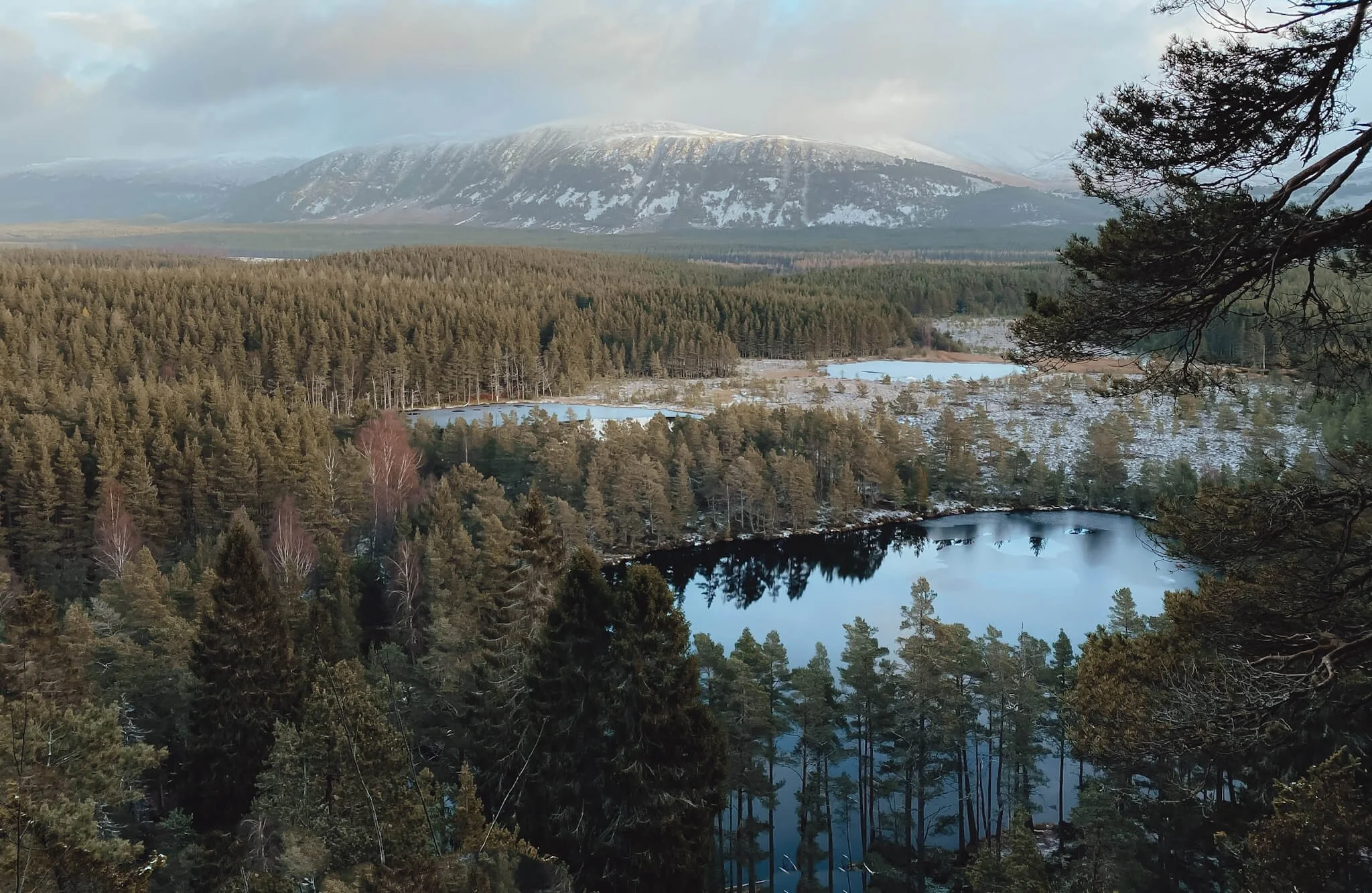 Aviemore Walks: 7 Of The Best Aviemore Trails | Wander Scotland