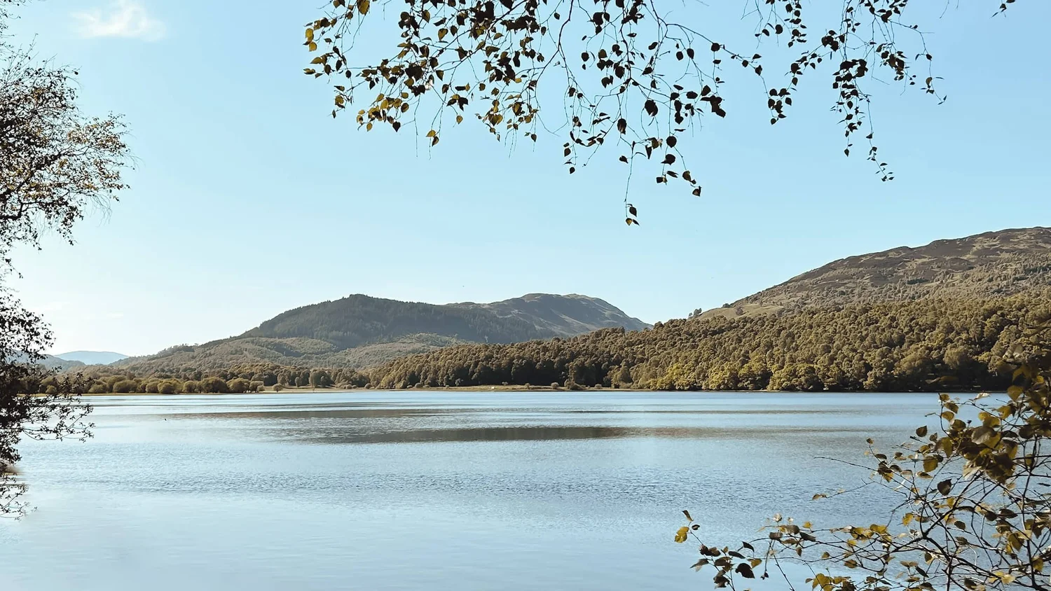 Three Lochs Forest Drive: How To Visit | Wander Scotland