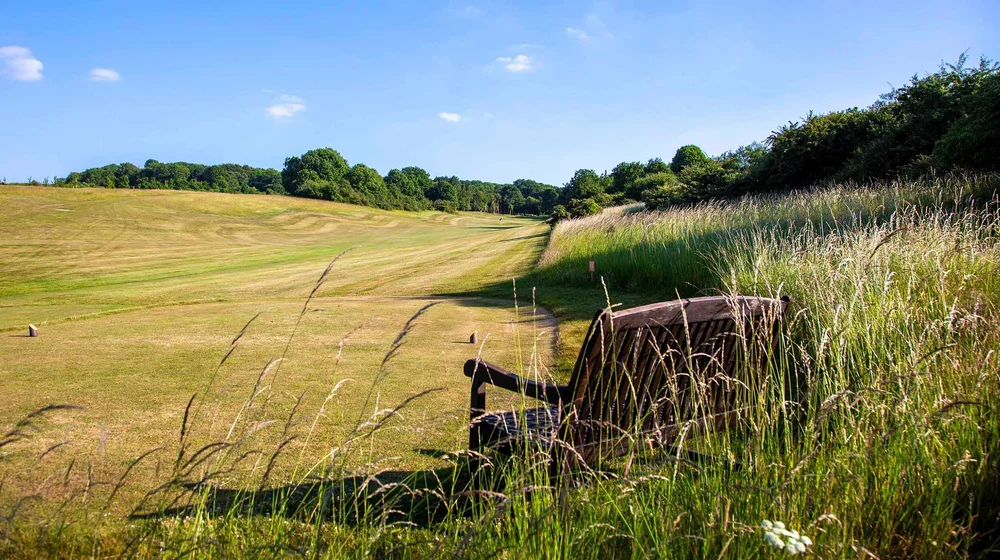 SIGNATURE HOLES — CAME DOWN GOLF CLUB