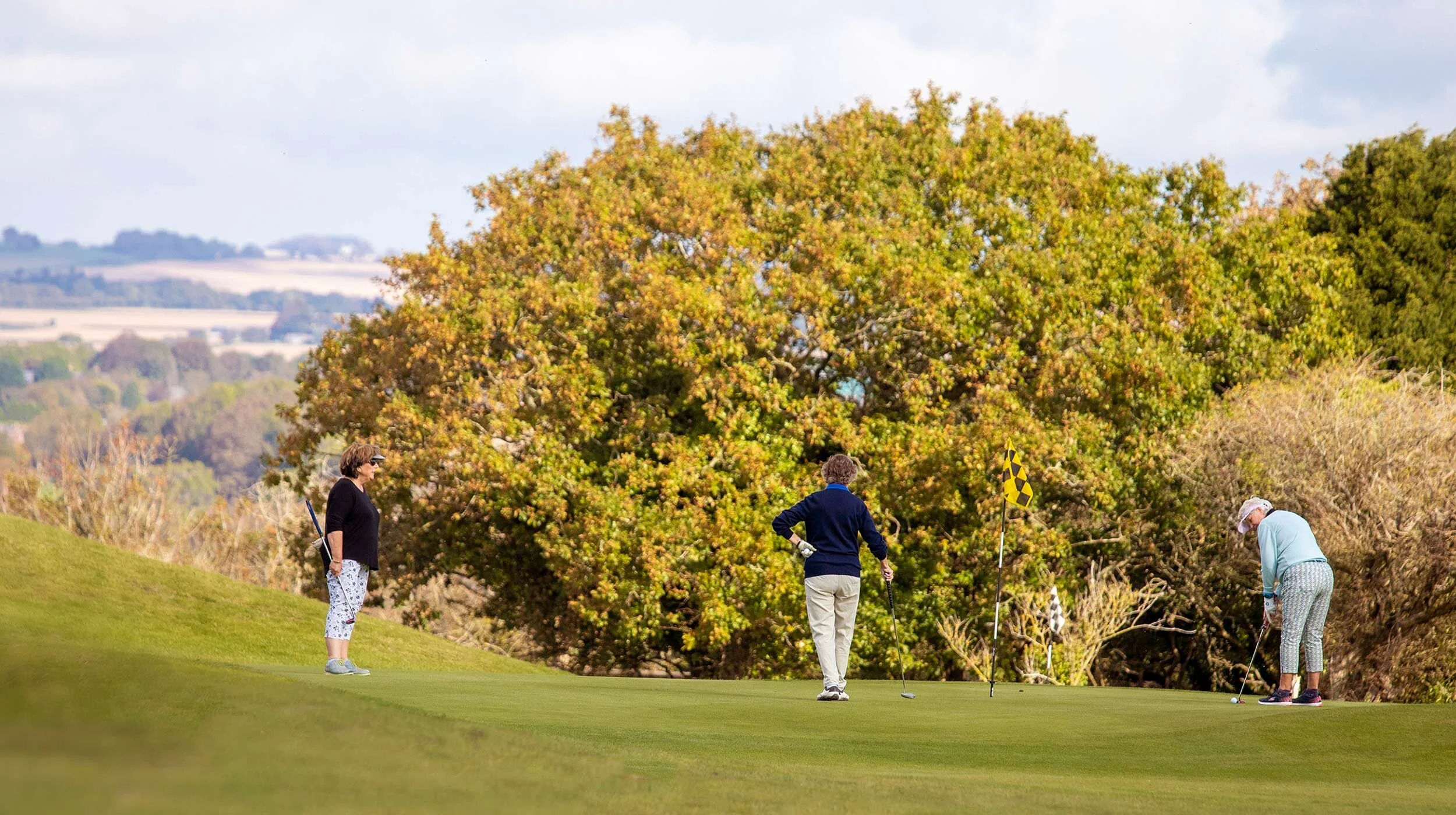 LADIES SECTION — CAME DOWN GOLF CLUB