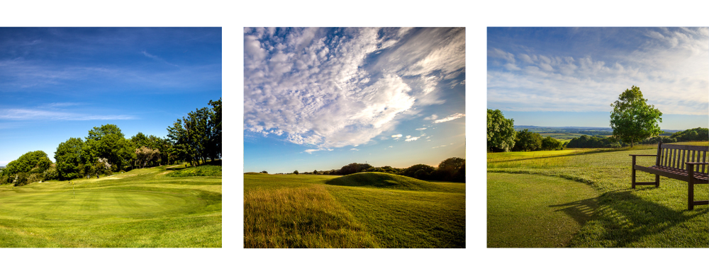 OPEN COMPETITIONS — CAME DOWN GOLF CLUB