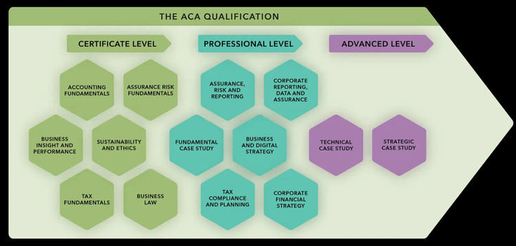 The New Generation ACA — Accountancy Hub